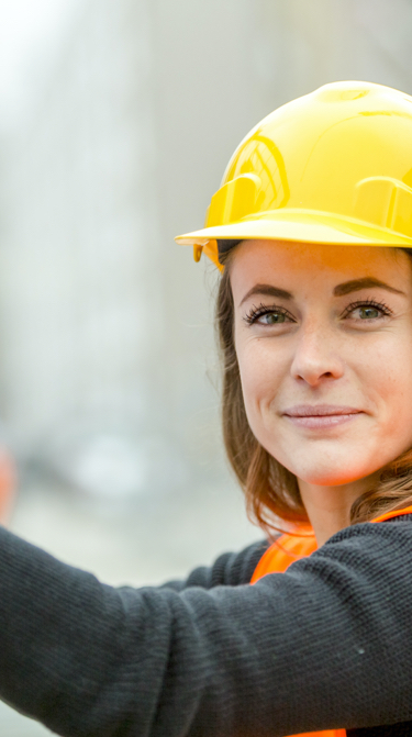 Corporate Overview | About Landmarc Environmental Systems